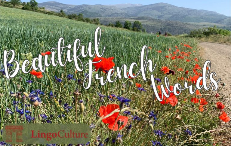 Hello in French: 10 French greetings for every situation